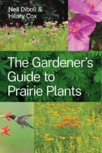 the gardener's guide to prairie plants