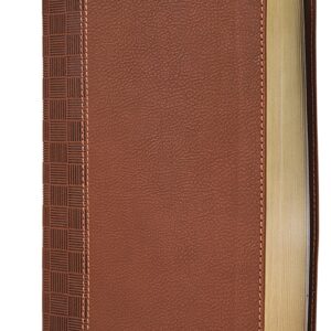 NIrV, Giant Print Compact Bible, Leathersoft, Brown, Comfort Print