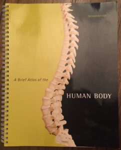 brief atlas of the human body, a