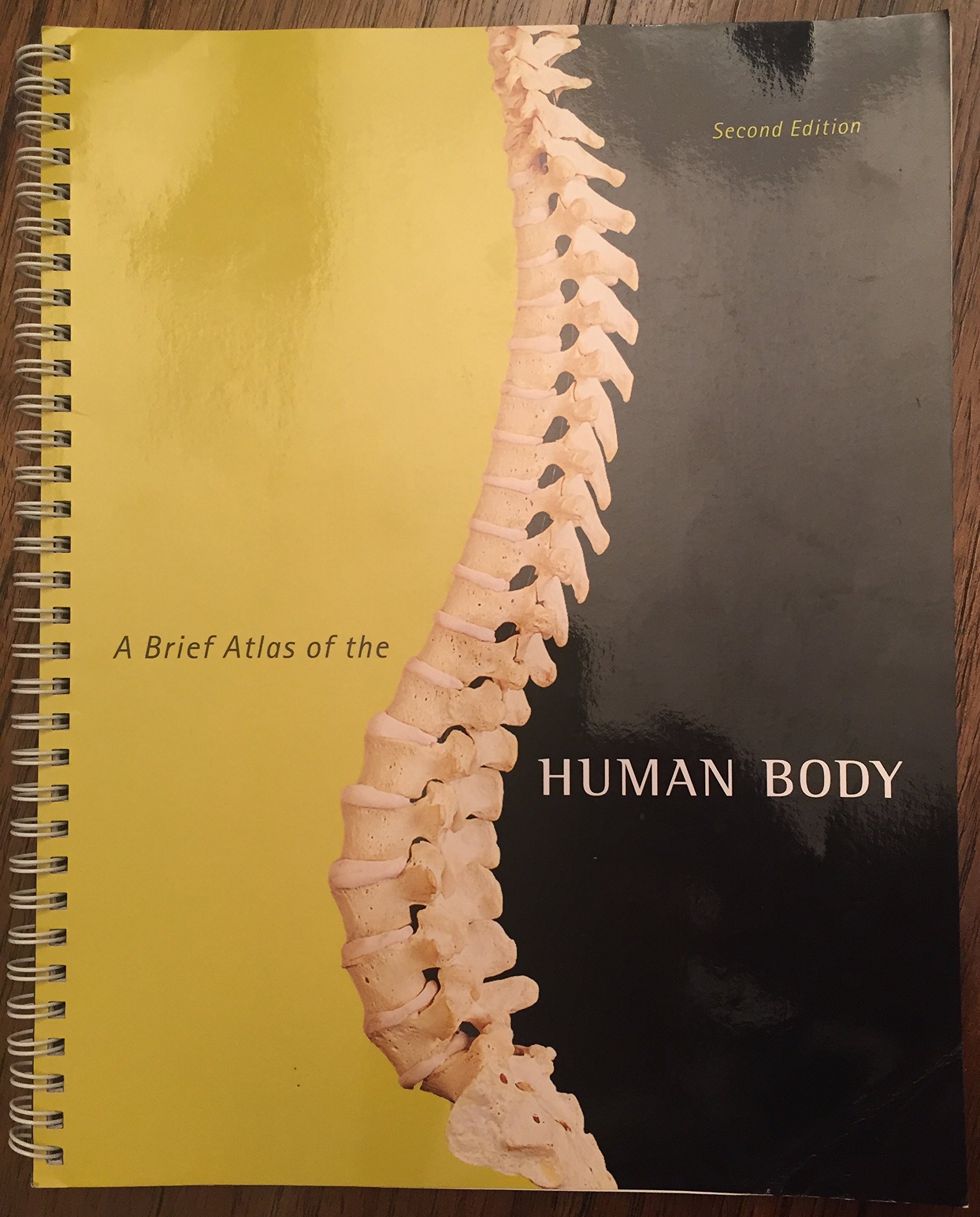 Brief Atlas of the Human Body, A