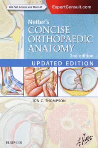 netter's concise orthopaedic anatomy, updated edition (netter basic science)