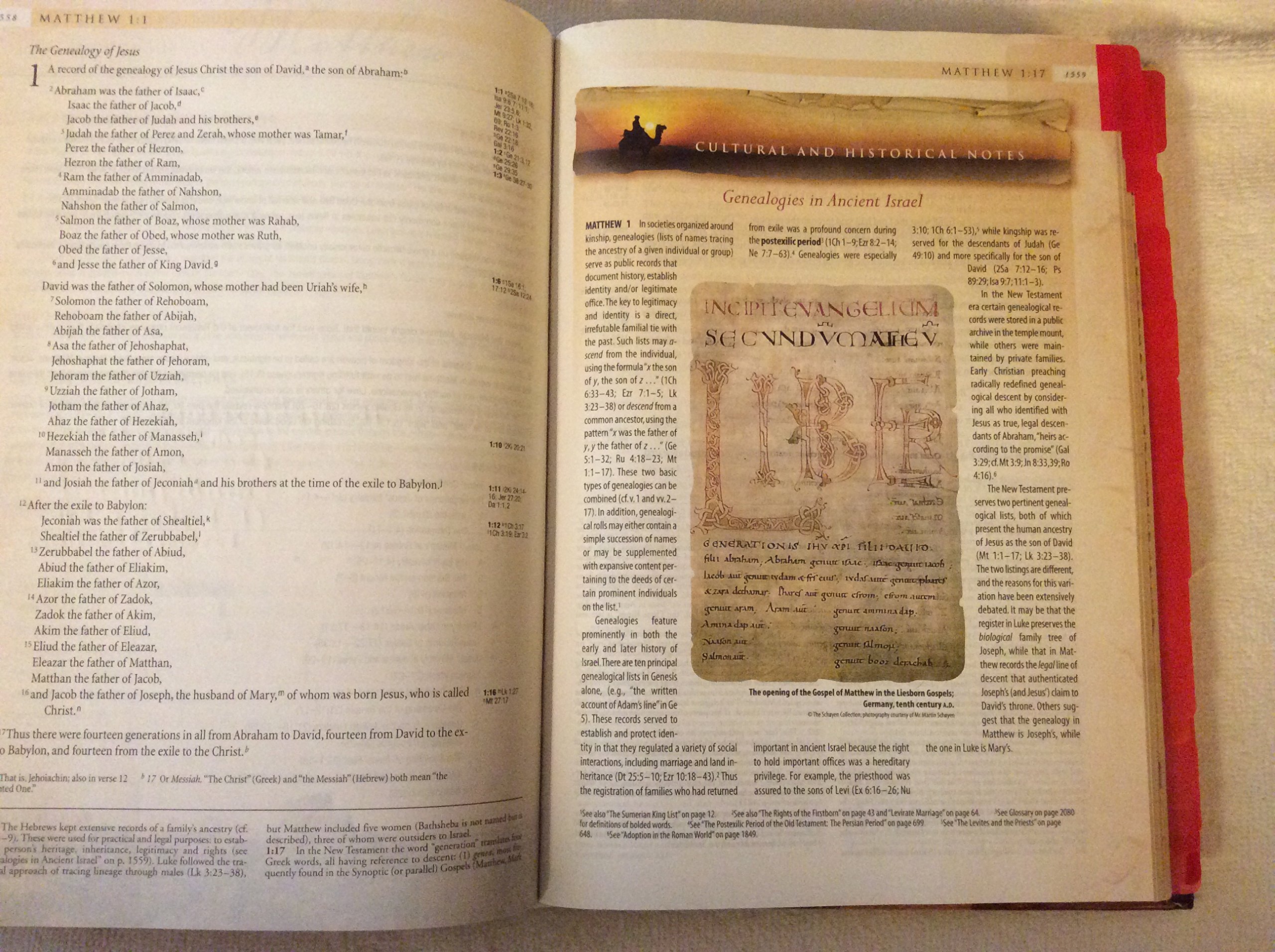 NIV, Archaeological Study Bible, Hardcover: An Illustrated Walk Through Biblical History and Culture