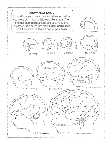 My First Book About the Brain (Dover Science For Kids Coloring Books)