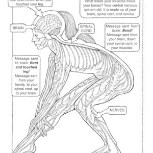 My First Book About the Brain (Dover Science For Kids Coloring Books)