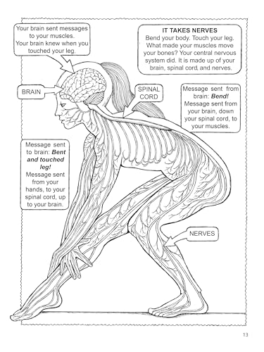 My First Book About the Brain (Dover Science For Kids Coloring Books)