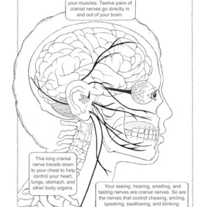 My First Book About the Brain (Dover Science For Kids Coloring Books)