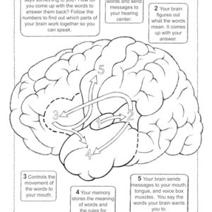 My First Book About the Brain (Dover Science For Kids Coloring Books)