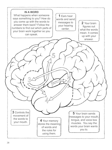 My First Book About the Brain (Dover Science For Kids Coloring Books)