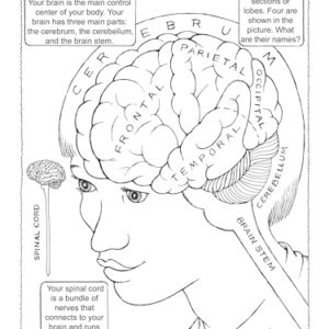 My First Book About the Brain (Dover Science For Kids Coloring Books)