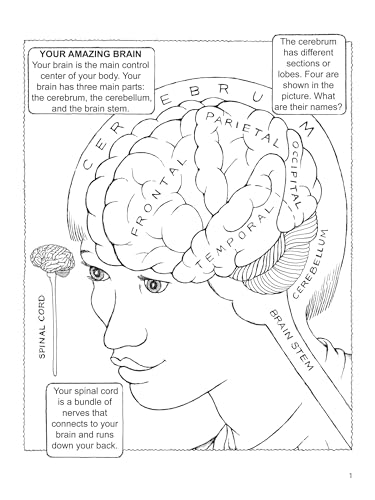 My First Book About the Brain (Dover Science For Kids Coloring Books)