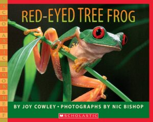 red-eyed tree frog (scholastic bookshelf)