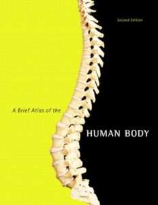 a brief atlas of the human body