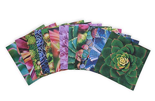 Origami Paper 500 sheets Succulents 6" (15 cm): Tuttle Origami Paper: Double-Sided Origami Sheets with 12 Different Photographs (Instructions for 6 Projects Included)