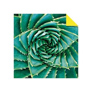 Origami Paper 500 sheets Succulents 6" (15 cm): Tuttle Origami Paper: Double-Sided Origami Sheets with 12 Different Photographs (Instructions for 6 Projects Included)