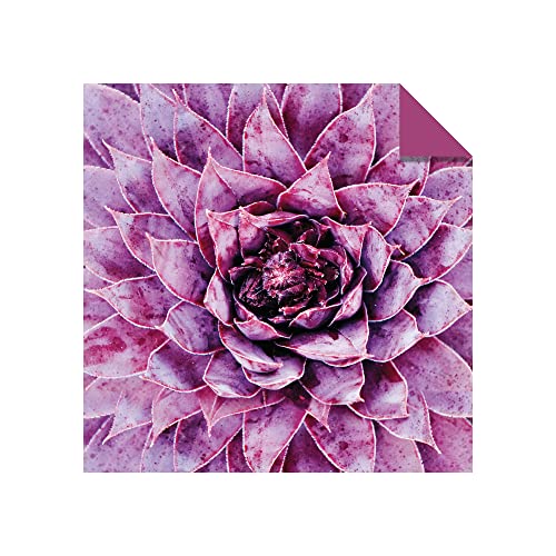 Origami Paper 500 sheets Succulents 6" (15 cm): Tuttle Origami Paper: Double-Sided Origami Sheets with 12 Different Photographs (Instructions for 6 Projects Included)