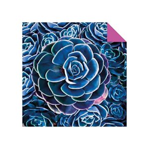 Origami Paper 500 sheets Succulents 6" (15 cm): Tuttle Origami Paper: Double-Sided Origami Sheets with 12 Different Photographs (Instructions for 6 Projects Included)