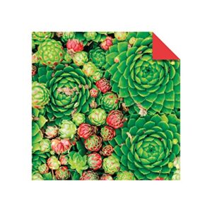 Origami Paper 500 sheets Succulents 6" (15 cm): Tuttle Origami Paper: Double-Sided Origami Sheets with 12 Different Photographs (Instructions for 6 Projects Included)