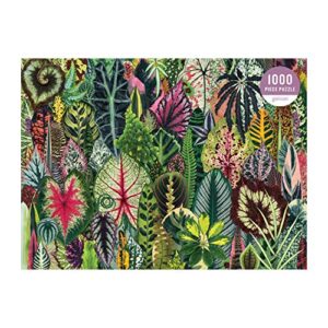 Galison Houseplant Jungle 1000 Piece Jigsaw Puzzle for Adults – Plant Jigsaw Puzzle with Mix of Succulents & Other Household Plants – Fun Indoor Activity, Multicolor