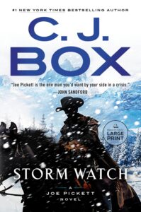 storm watch (a joe pickett novel)