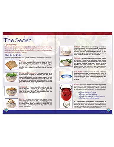 30 Minute Seder: The Haggadah That Blends Brevity With Tradition