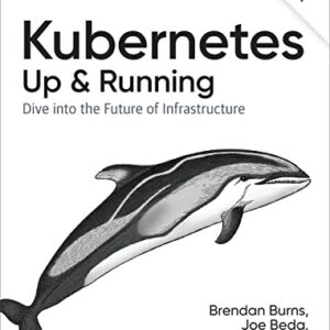 Kubernetes: Up and Running: Dive into the Future of Infrastructure