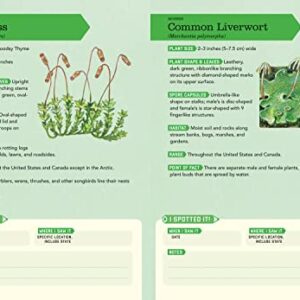 Outdoor School: Tree, Wildflower, and Mushroom Spotting: The Definitive Interactive Nature Guide