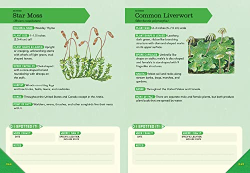 Outdoor School: Tree, Wildflower, and Mushroom Spotting: The Definitive Interactive Nature Guide