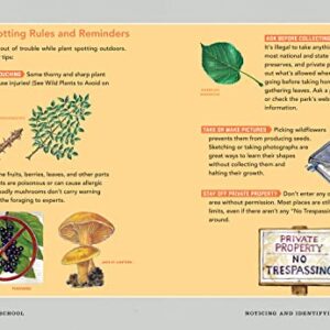 Outdoor School: Tree, Wildflower, and Mushroom Spotting: The Definitive Interactive Nature Guide