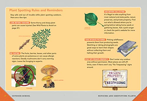 Outdoor School: Tree, Wildflower, and Mushroom Spotting: The Definitive Interactive Nature Guide