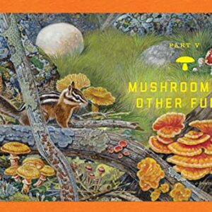 Outdoor School: Tree, Wildflower, and Mushroom Spotting: The Definitive Interactive Nature Guide