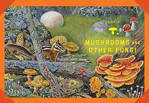 Outdoor School: Tree, Wildflower, and Mushroom Spotting: The Definitive Interactive Nature Guide