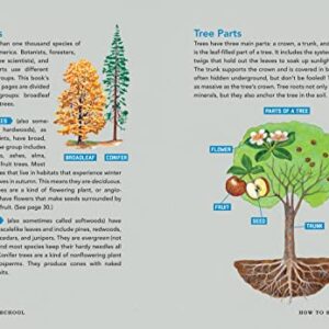 Outdoor School: Tree, Wildflower, and Mushroom Spotting: The Definitive Interactive Nature Guide