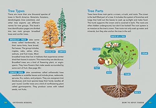 Outdoor School: Tree, Wildflower, and Mushroom Spotting: The Definitive Interactive Nature Guide