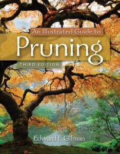 an illustrated guide to pruning