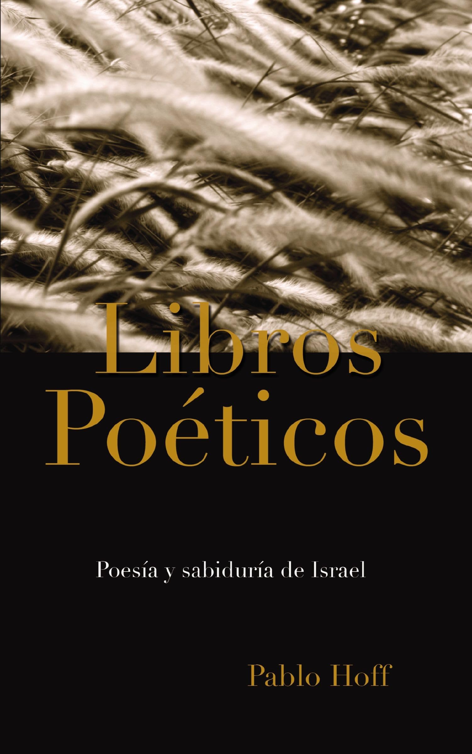 Libros Poéticos, Los