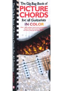 gig bag book of picture chords for all guitarists in color (gig bag books)