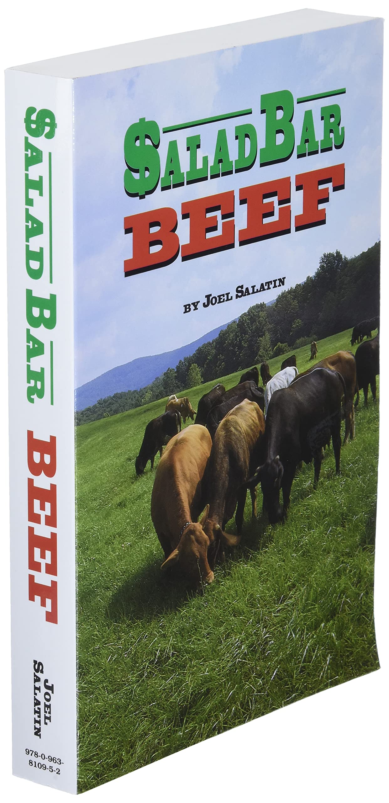 Salad Bar Beef