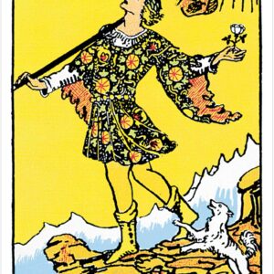 The Rider Tarot Deck®