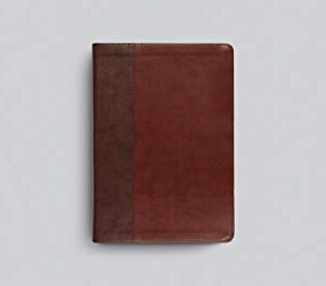 ESV Single Column Journaling Bible, Large Print (TruTone, Burgundy/Red, Timeless Design)