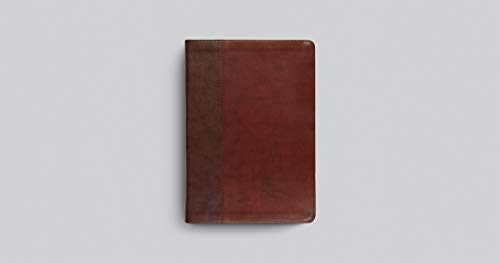 ESV Single Column Journaling Bible, Large Print (TruTone, Burgundy/Red, Timeless Design)