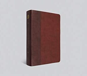 ESV Single Column Journaling Bible, Large Print (TruTone, Burgundy/Red, Timeless Design)