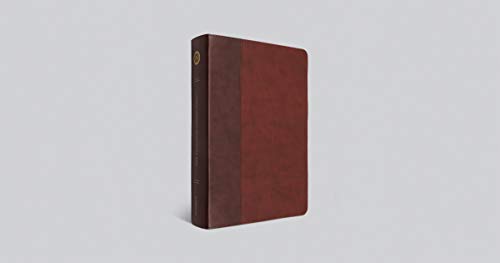 ESV Single Column Journaling Bible, Large Print (TruTone, Burgundy/Red, Timeless Design)