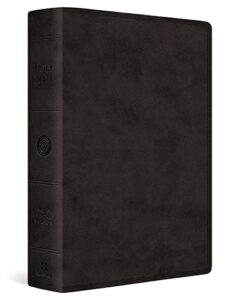 esv super giant print(font size - 17pt) bible (trutone, black)