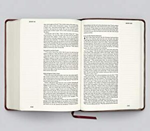 ESV Single Column Journaling Bible, Large Print (TruTone, Burgundy/Red, Timeless Design)