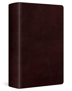 esv large print personal size bible (trutone, mahogany)