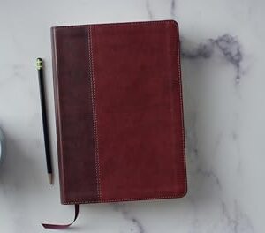 ESV Single Column Journaling Bible, Large Print (TruTone, Burgundy/Red, Timeless Design)