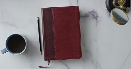 ESV Single Column Journaling Bible, Large Print (TruTone, Burgundy/Red, Timeless Design)