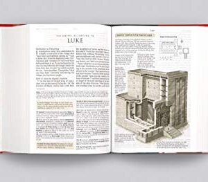 ESV Study Bible, Large Print