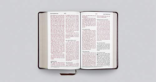 ESV Large Print Personal Size Bible (TruTone, Mahogany)