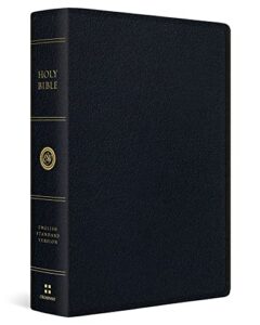 esv super giant print bible (black)